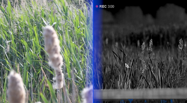 Understanding a Thermal Imager’s Specifications